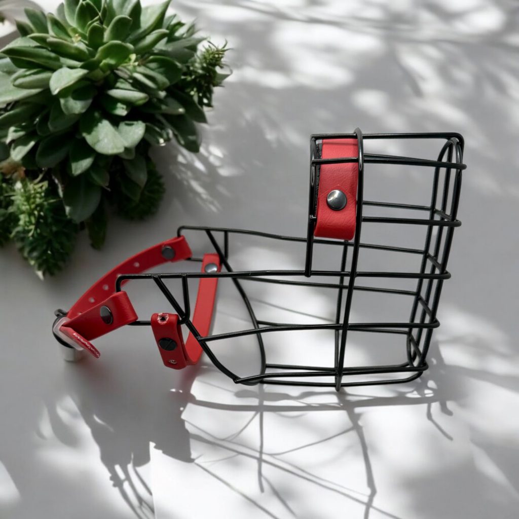 Termin für die Maulkorbberatung in Berlin - urbanpup by mo